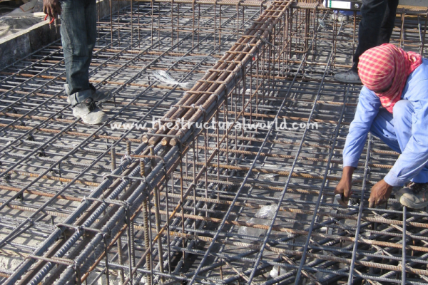 The Structural World